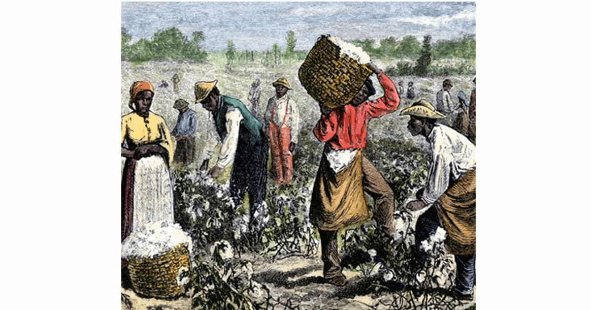 Life Down on the Democratic Plantation – Part I of II – Trevor Loudon's ...